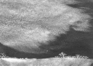 Eliany Marc - Primal Landscapes