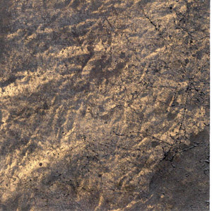 Eliany Marc - Primal Landscapes